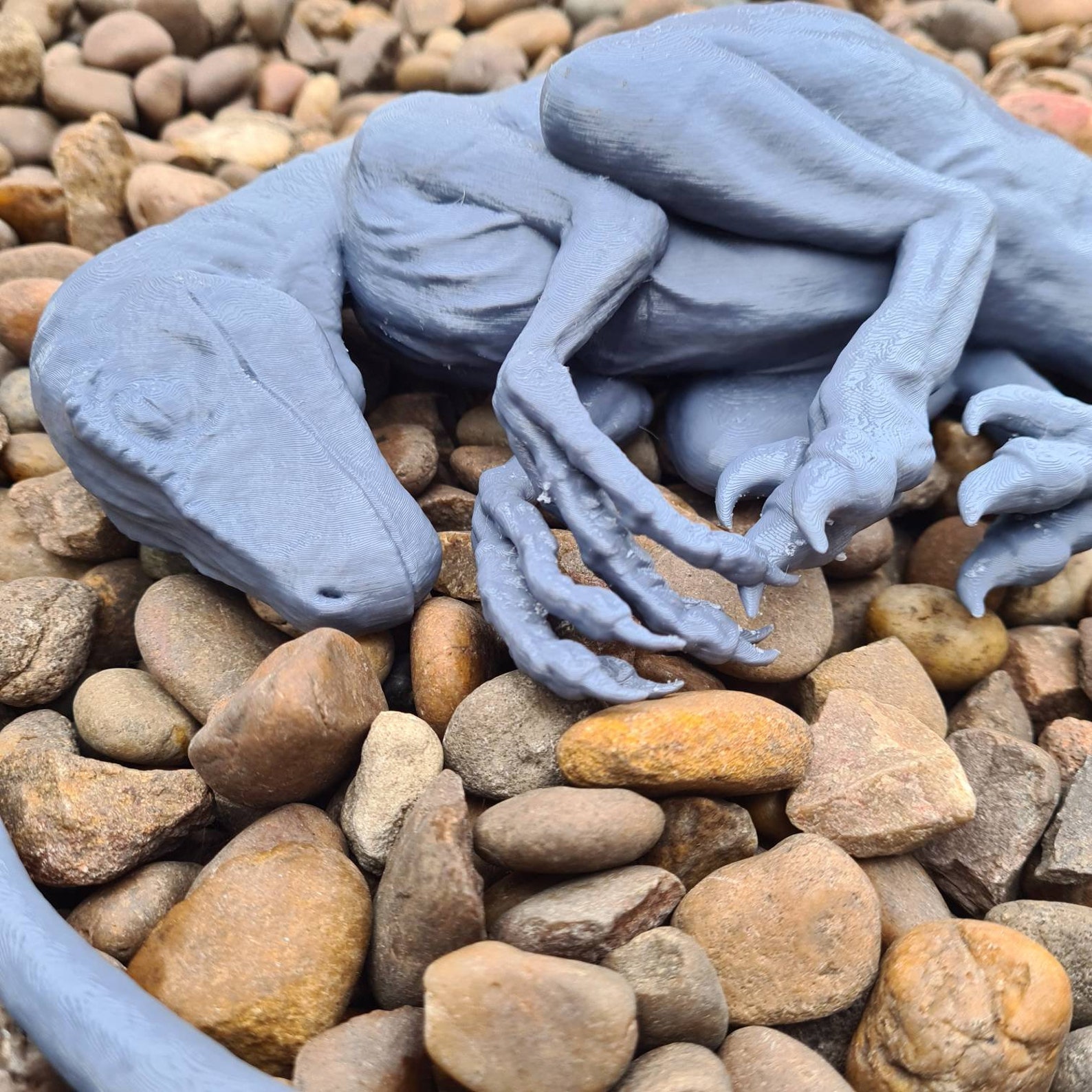 Sleeping Baby Velociraptor Art Dinosaur 3D Printed - Etsy