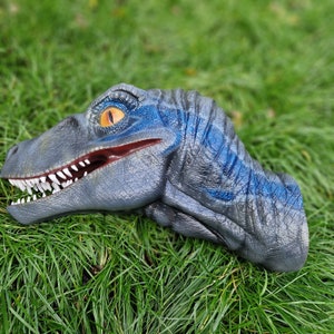 Velociraptor Art - Raptor - Painted and Airbrushed - Dinosaur - Wall ...