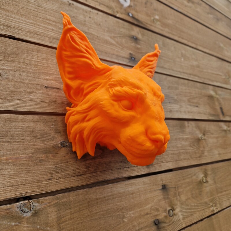 Mounted Animal Head - Etsy