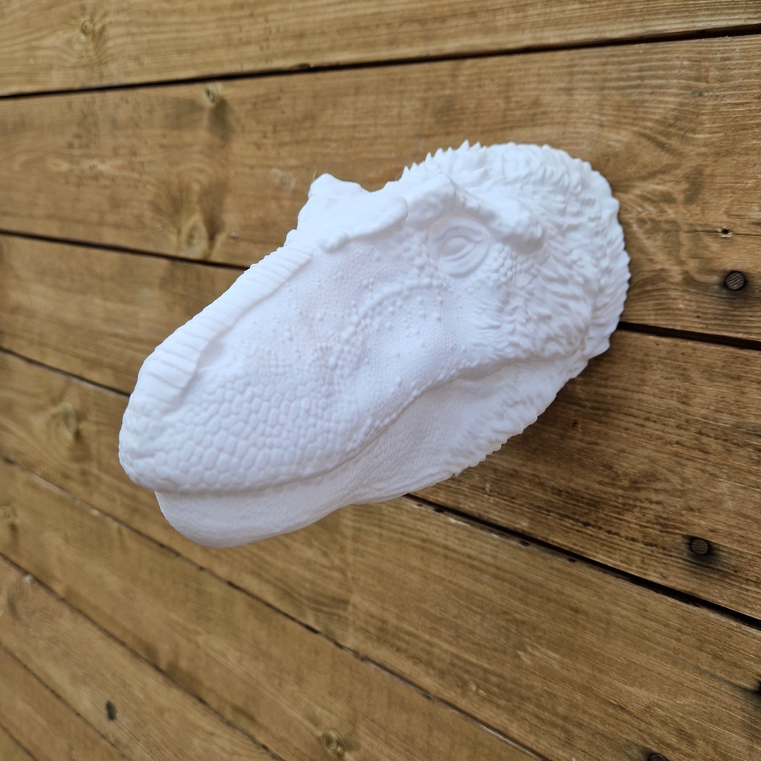 Nanuqsaurus Head Wall Art - Dinosaur - Wall Mount- 3D Printed ...