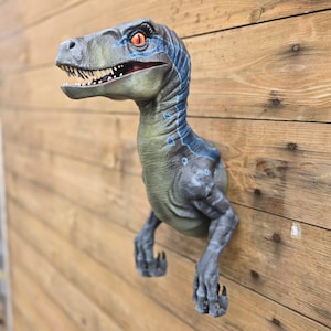 Velociraptor Bust – Hand Painted Dinosaur Wall Mount - 3D Printed - Etsy