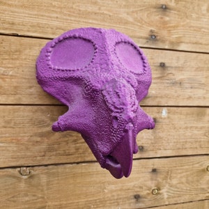 Protoceratops Head - Dinosaur Wall Art - 3D Printed - Etsy