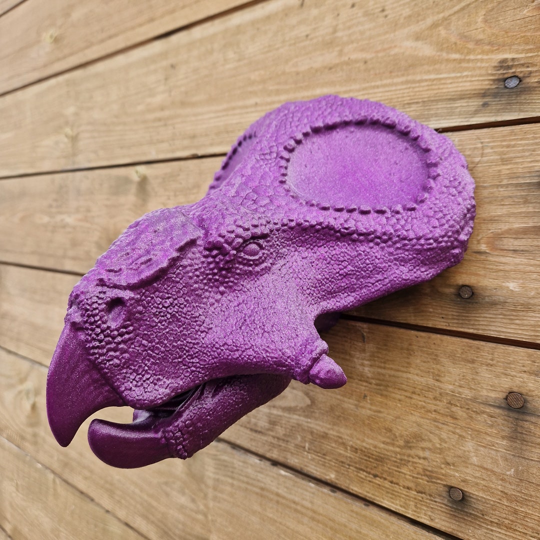 Protoceratops Head - Dinosaur Wall Art - 3D Printed - Home Decor - Wall Mount - Multiple Colours ...