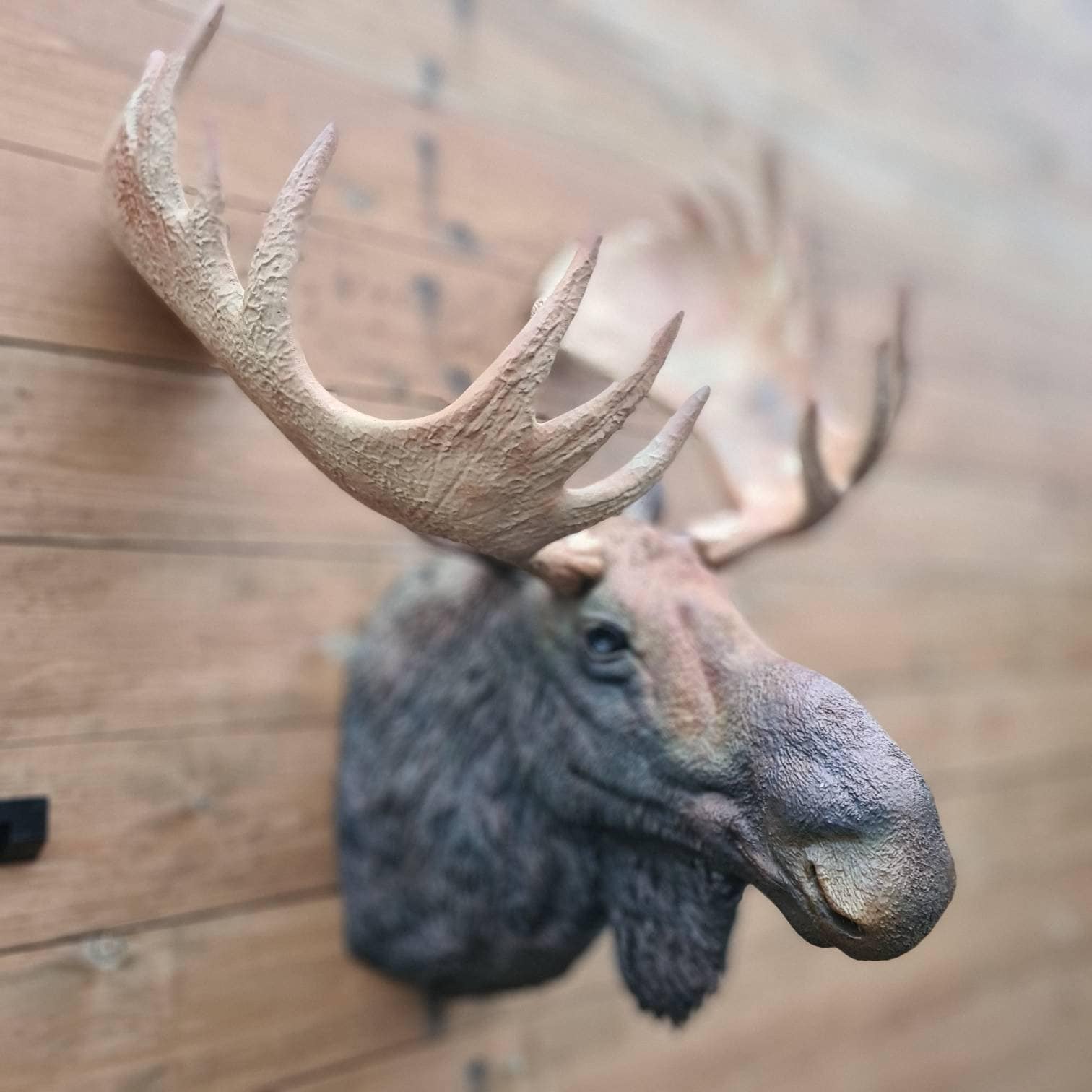 Moose Head Wall Mount – Hand Painted Animal Decor - 3D Printed - Etsy