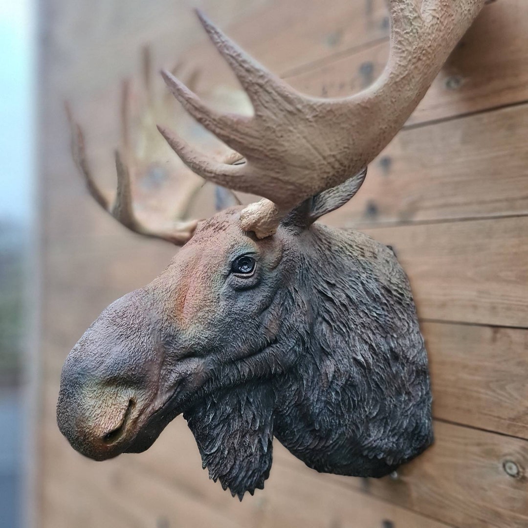 Moose Head Wall Art - Airbrushed and Hand Painted - Animal - Wall Mount ...