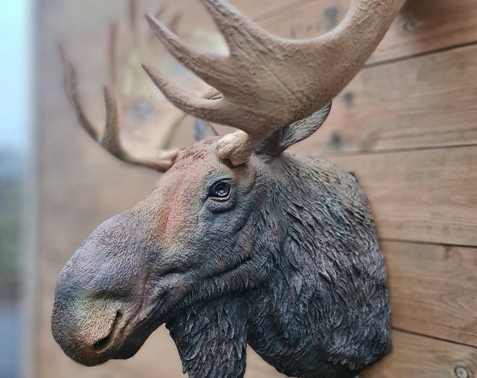 Moose Head Wall Art - Airbrushed and Hand Painted - Animal - Wall Mount ...