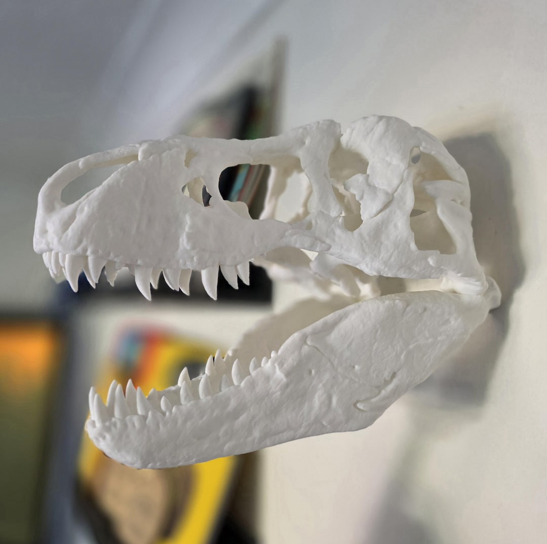 Tyrannosaurus Rex Skull Wall Mount – T-rex Dinosaur Art - 3D Printed - Etsy