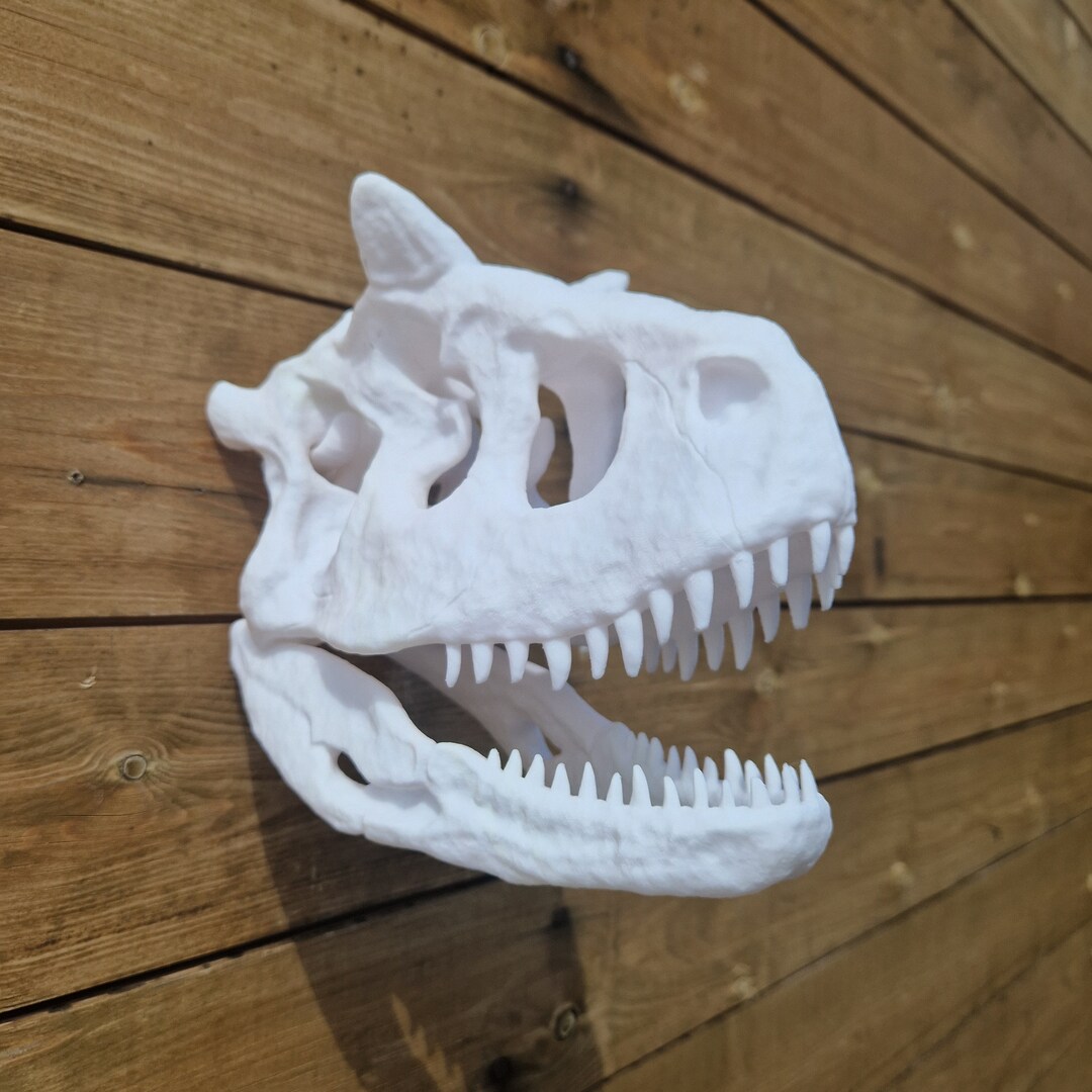 Carnotaurus Skull Wall Art - Dinosaur - Wall Mount- 3D Printed ...
