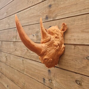 Woolly Rhinoceros Wall Art - Prehistoric Animal - Wall Mount- 3D ...