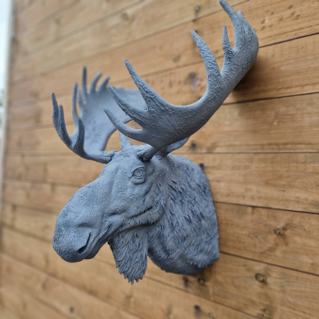 Moose Wall Art - Animal - Wall Mount- 3D Printed - Multiple Colours ...