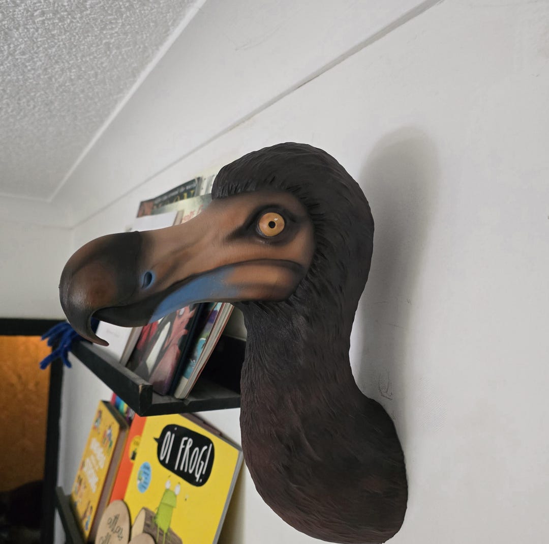 Dodo Painted and Airbrushed Wall Art - Dinosaur - Wall Mount- 3D ...