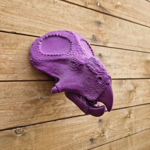 Protoceratops Head - Dinosaur Wall Art - 3D Printed - Etsy