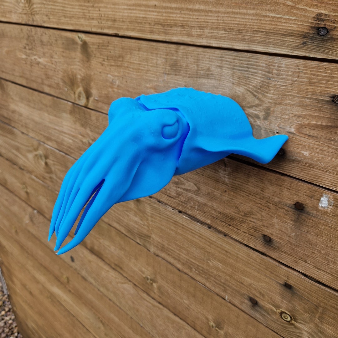 Cuttlefish - Animal Art - 3D Printed - Home Decor - Wall Mount ...