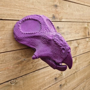 Protoceratops Head - Dinosaur Wall Art - 3D Printed - Etsy