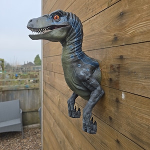 Velociraptor Bust – Hand Painted Dinosaur Wall Mount - 3D Printed - Etsy