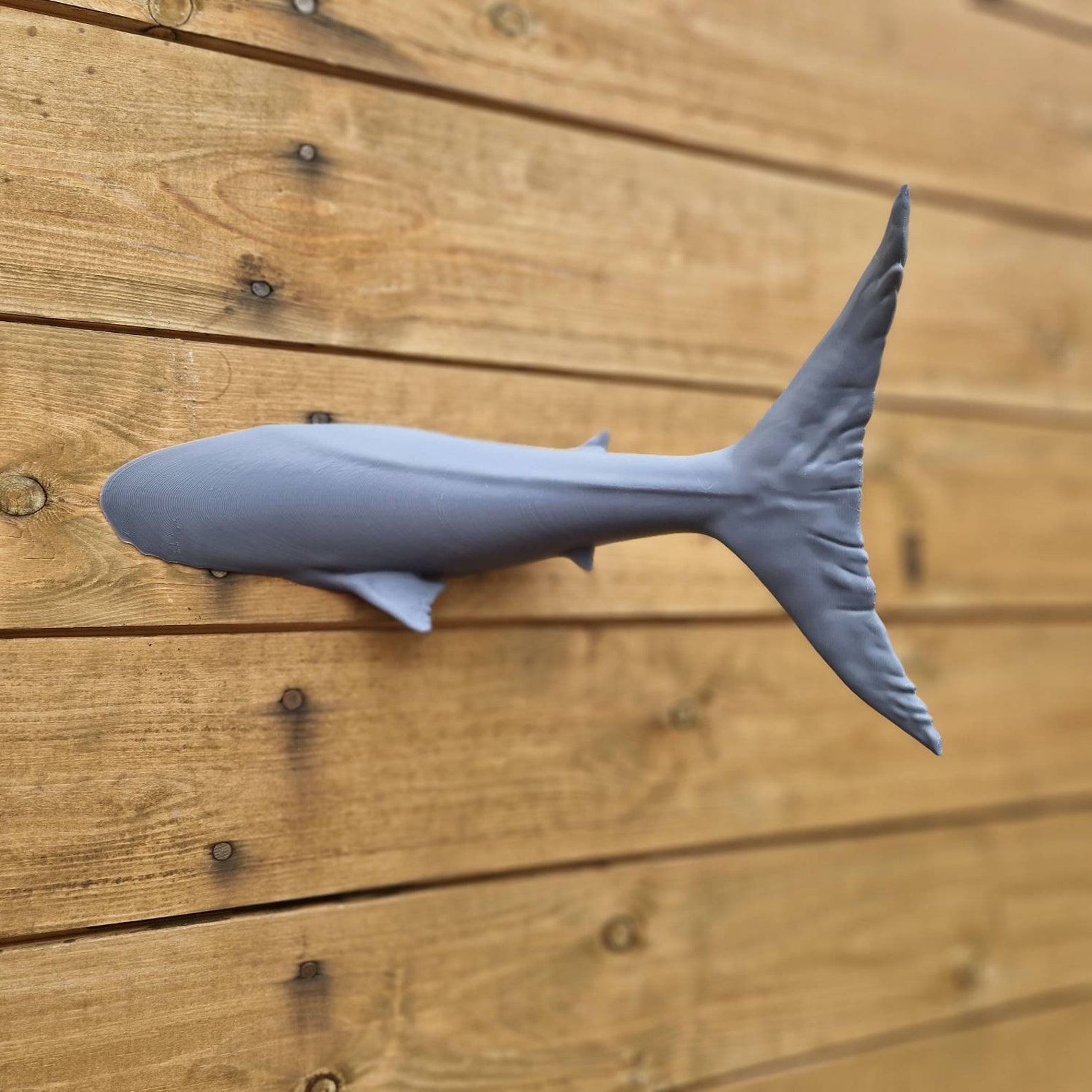Great White Shark Wall Mount – Animal Head and Tail Decor - 3D Printed ...