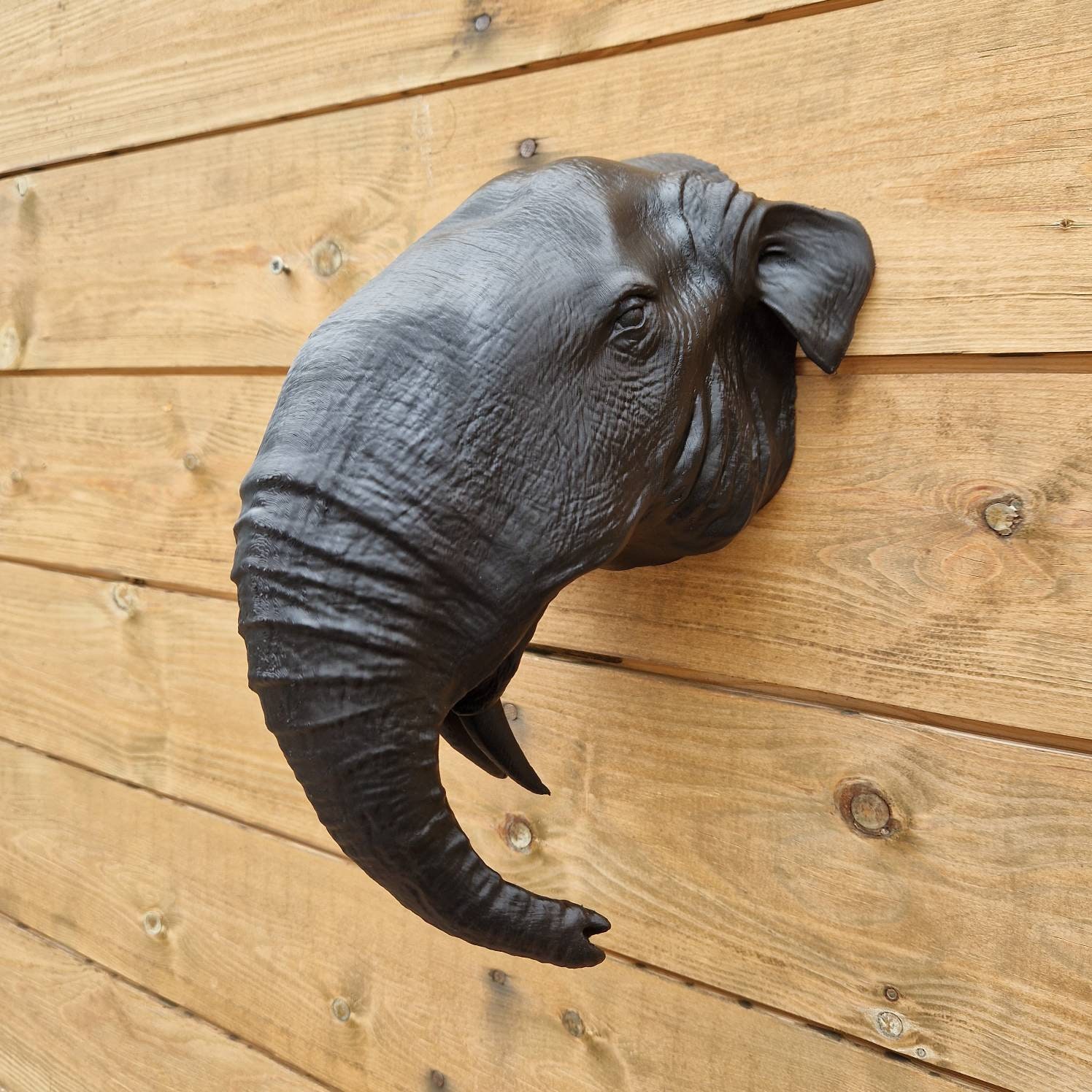 Deinotherium Wall Art Prehistoric Animal Wall Mount 3D - Etsy