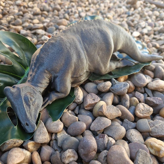 Baby Parasaurolophus
