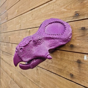 Protoceratops Head - Dinosaur Wall Art - 3D Printed - Etsy