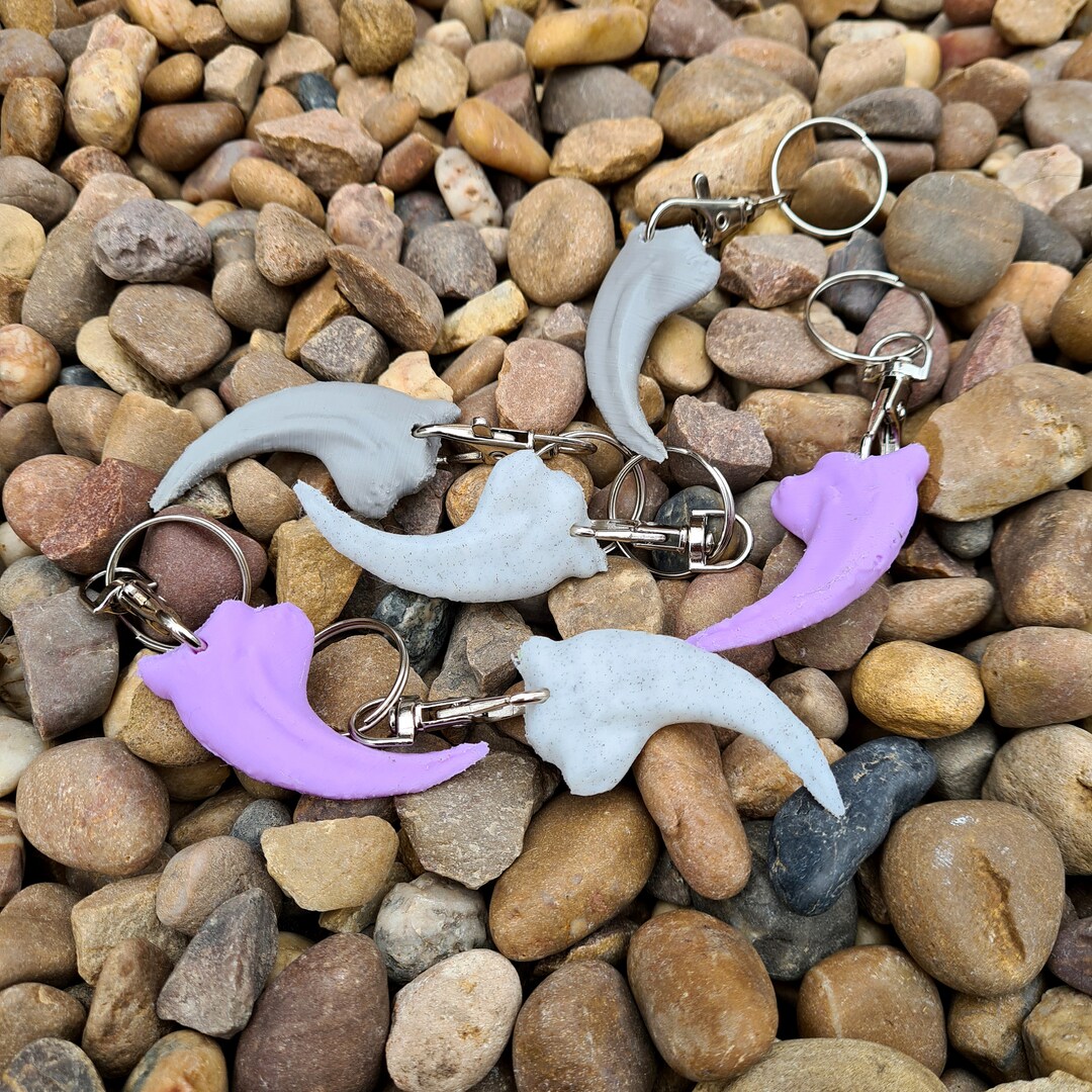 Dinosaur Keyring - Claw - Dinosaur Wall Art - 3D Printed - Multiple ...