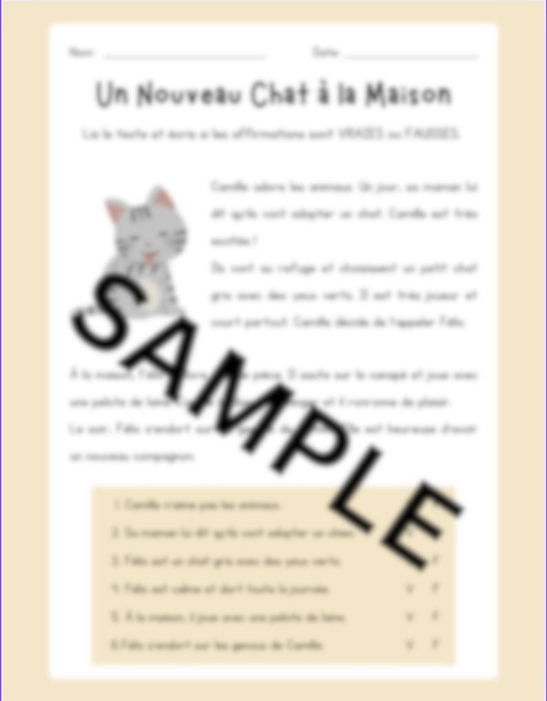French Reading Comprehension Worksheets | Short Stories & Questions ...