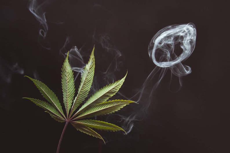 Gallery Print 420 Art Marijuana Print Weed Photography | Etsy