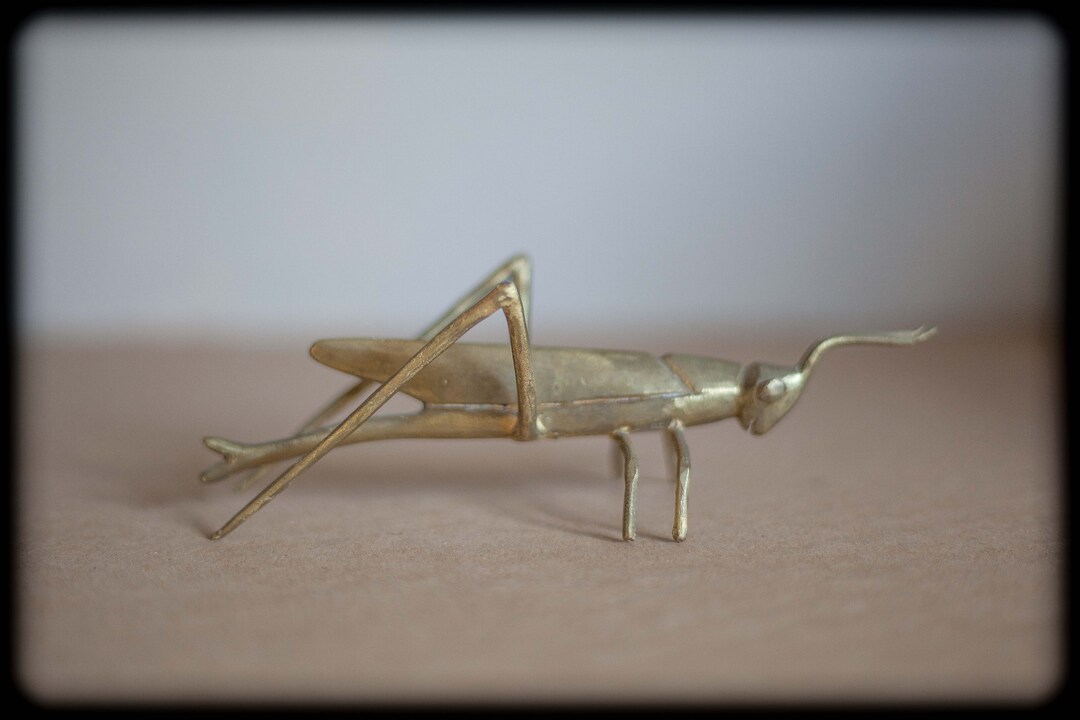 Brass Grasshopper, Brass Locust, Brass Insect, Brass Decoration, Brass ...