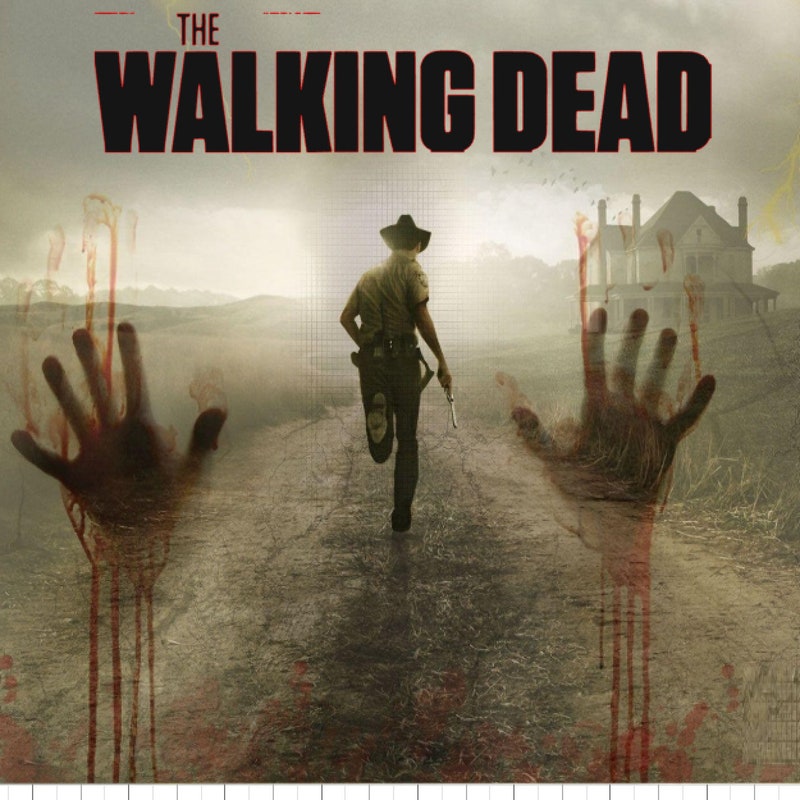 The Walking Dead - Etsy