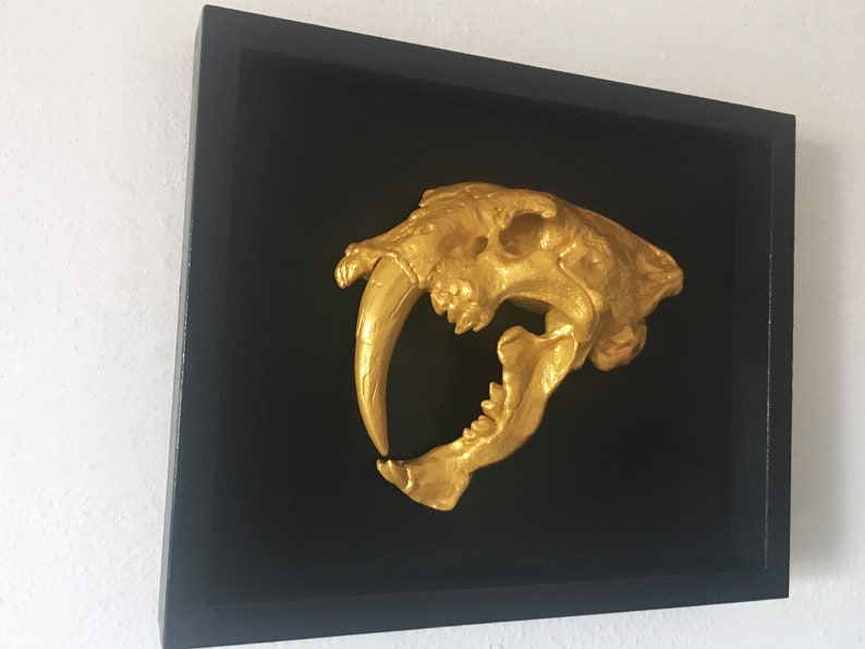 3D Sabertooth Tiger Skull Frame Wall Decor Tabletop 3D Frame ...
