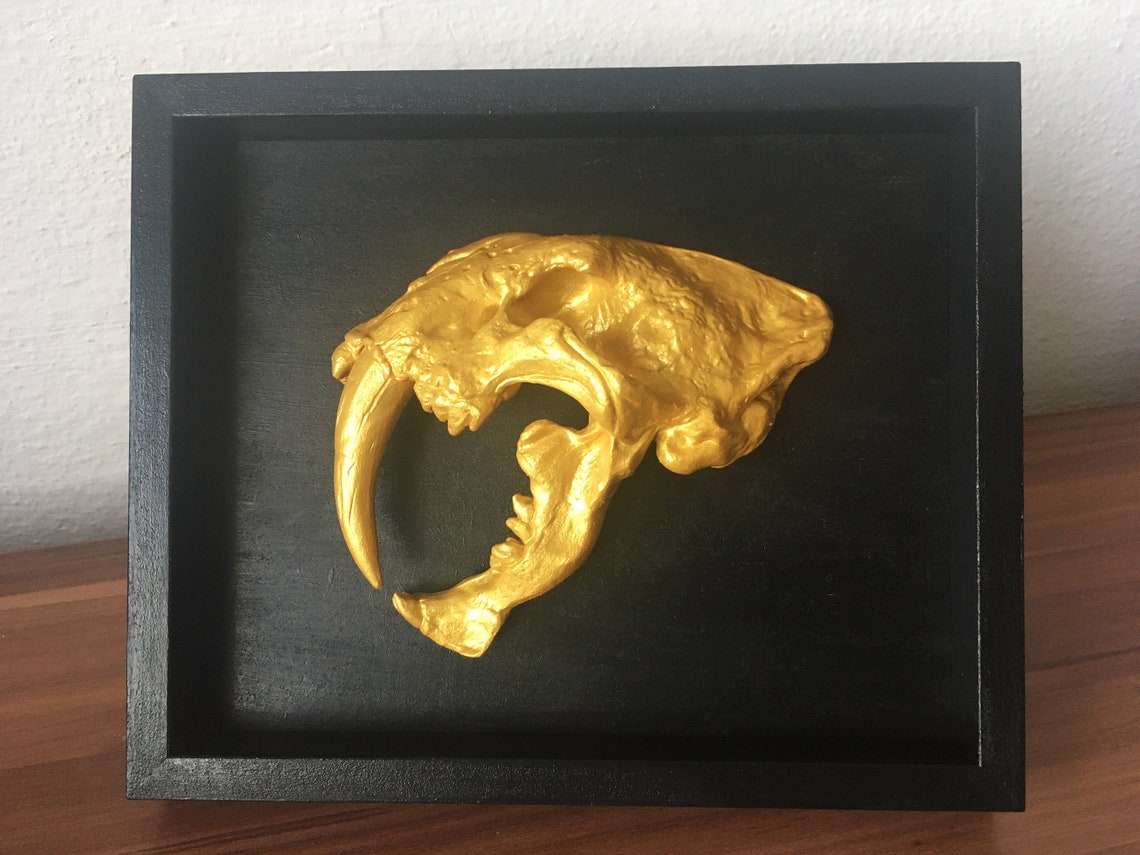 3D Sabertooth Tiger Skull Frame Wall Decor Tabletop 3D Frame ...