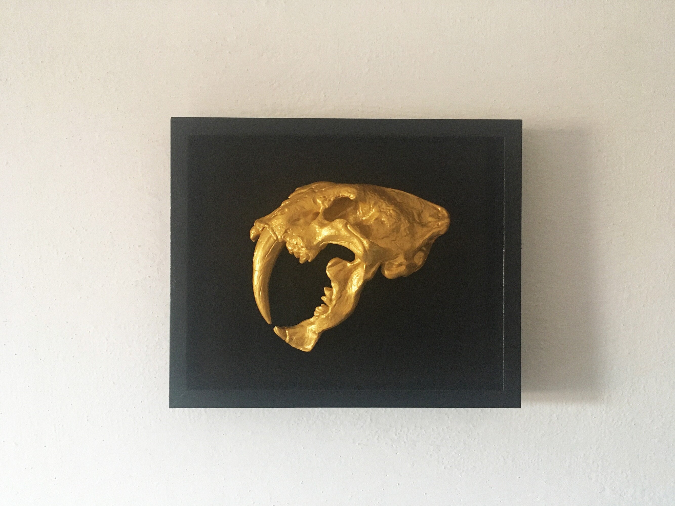 3D Sabertooth Tiger Skull Frame Wall Decor Tabletop 3D Frame ...