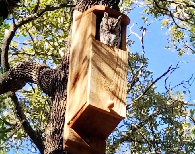 Great Horned or Barred Owl House Made From Cedar - Etsy