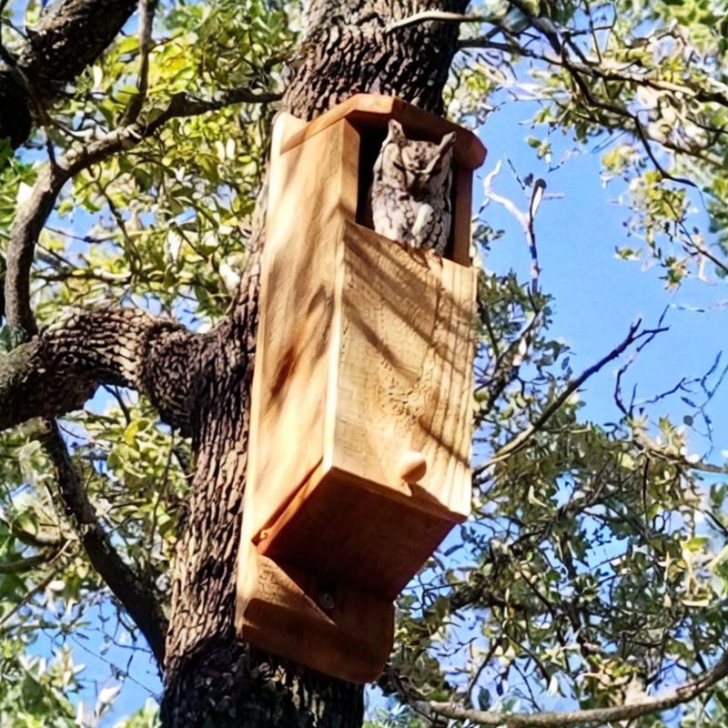 Wooden Outdoor Owl House - Etsy