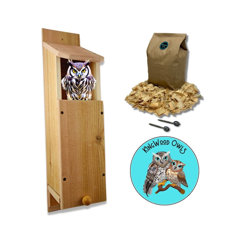 Owl Box - Etsy