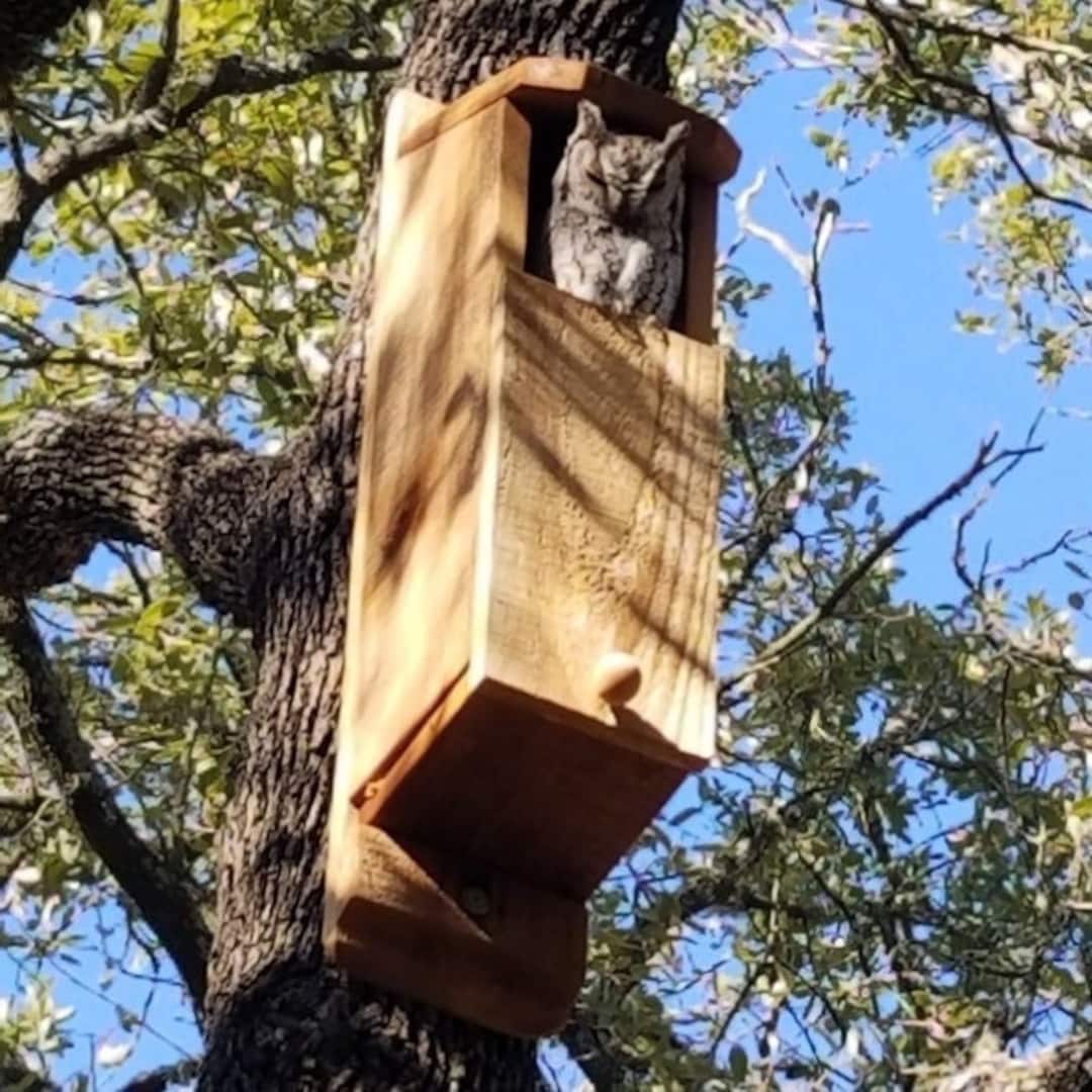 Kingwood Original Cedar Owl Box, Screech Owl House for Outside Nesting ...