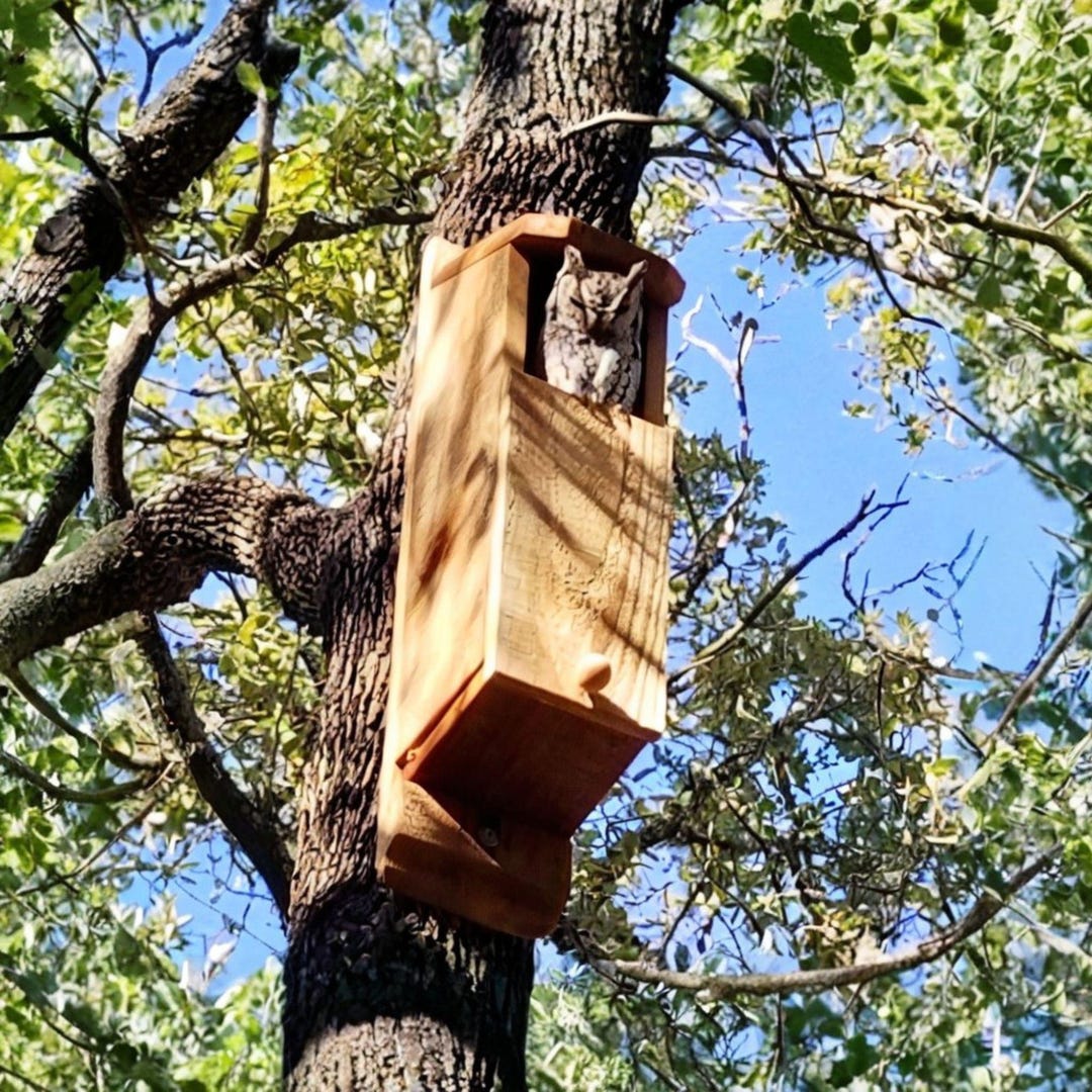 Cedar Owl Box for Small Screech Owl Nesting House, Unique Handmade ...