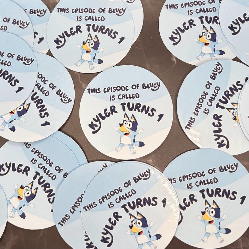 Bluey Custom Stickers - Etsy