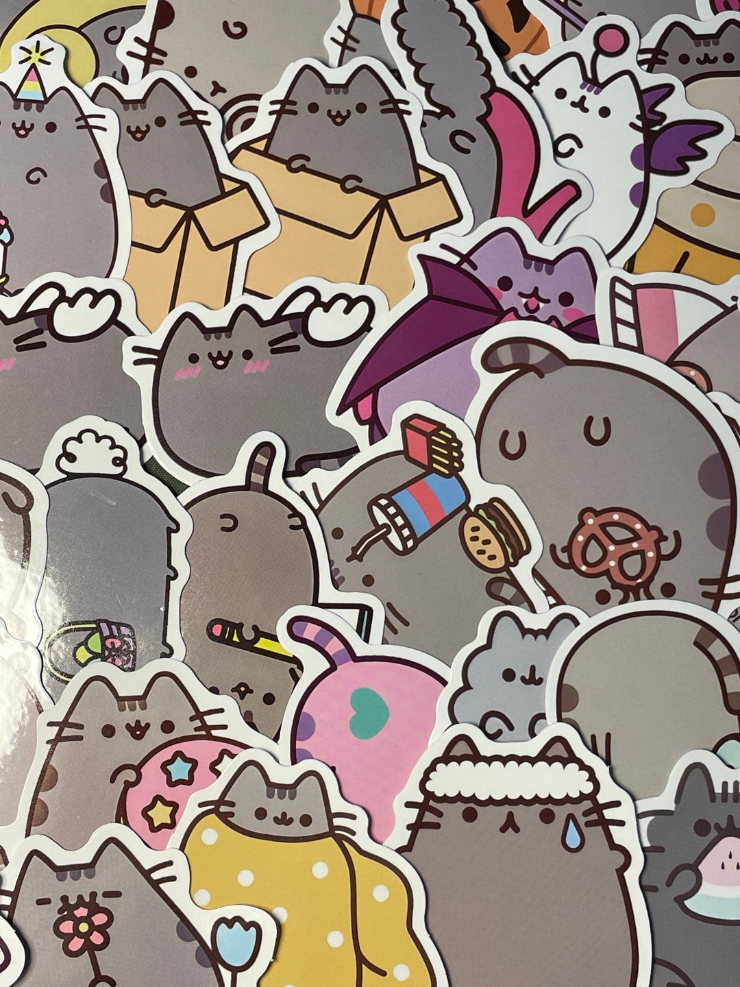 Fat Cat Stickers | RANDOM Pack of 6 | Mystery Pack - Etsy