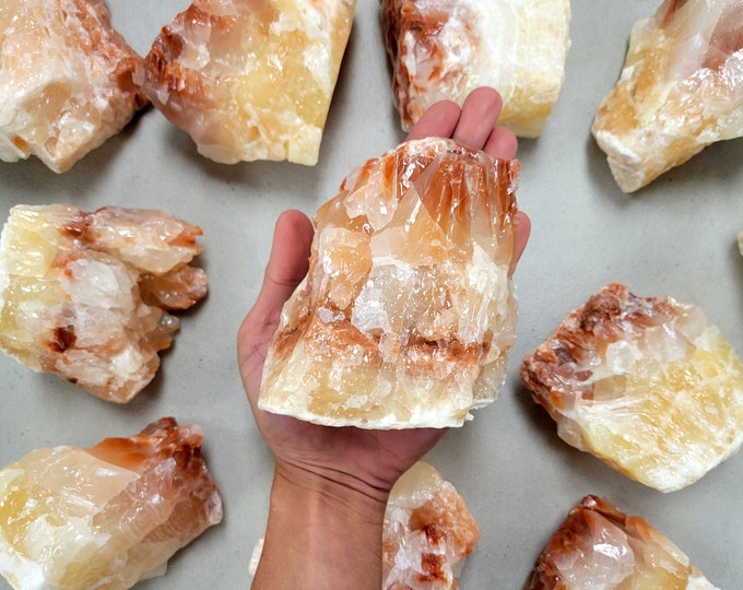 Big Gneiss Rock * Over 5 Lbs. Foliated Metamorphic Specimen or Striped ...