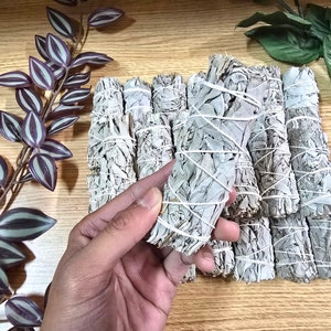 White Sage for Smudging, 4 Inch California White Sage Sticks, Organic ...