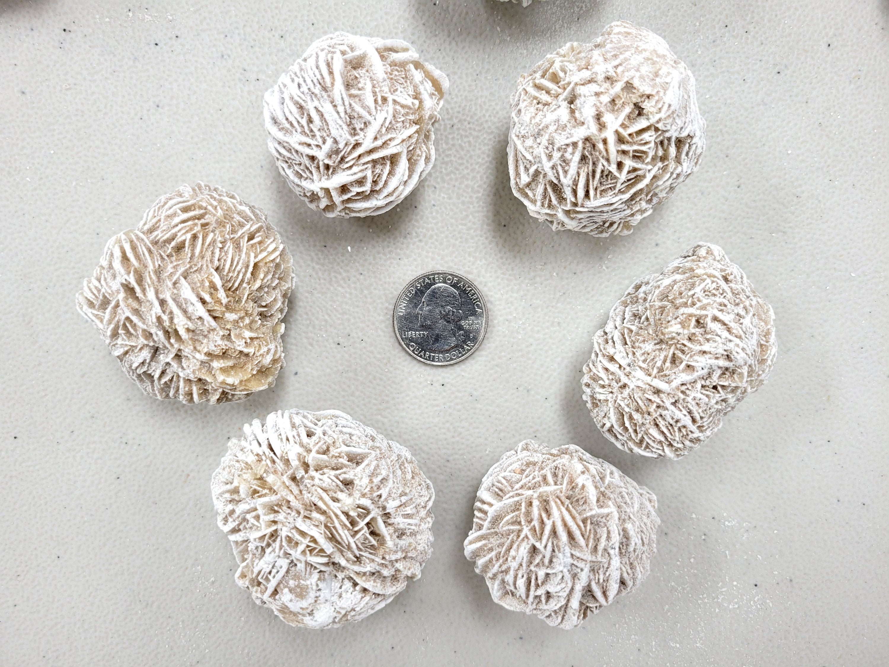 Large Desert Rose Stone Raw Desert Rose Selenite Crystal - Etsy