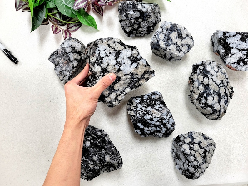 Large Snowflake Obsidian Display Specimens Rough Raw Unpolished Giant ...