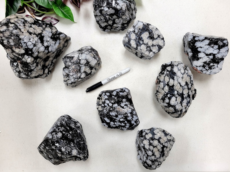 Large Snowflake Obsidian Display Specimens Rough Raw Unpolished Giant ...