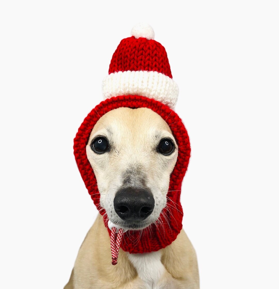 Knitted Santa Hat for Dog, Holiday Photo Outfit - Etsy