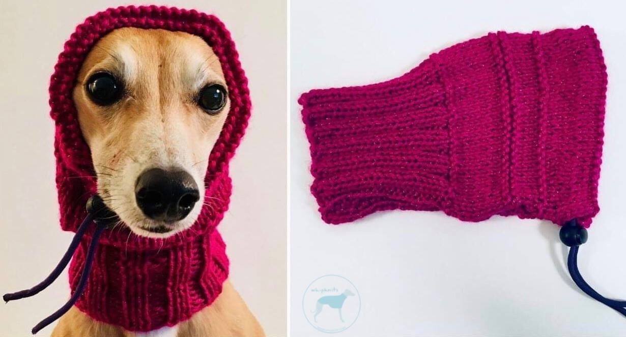 Dog Snood Knitting Pattern PDF Instant Download Knitted Dog - Etsy