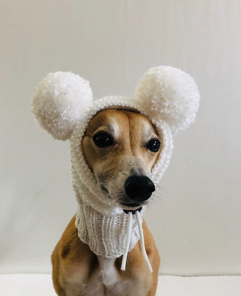 Diy pompom dogs - teryblind