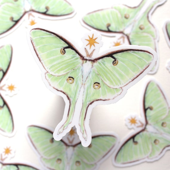 Luna Month and Star Vinyl Sticker | Etsy