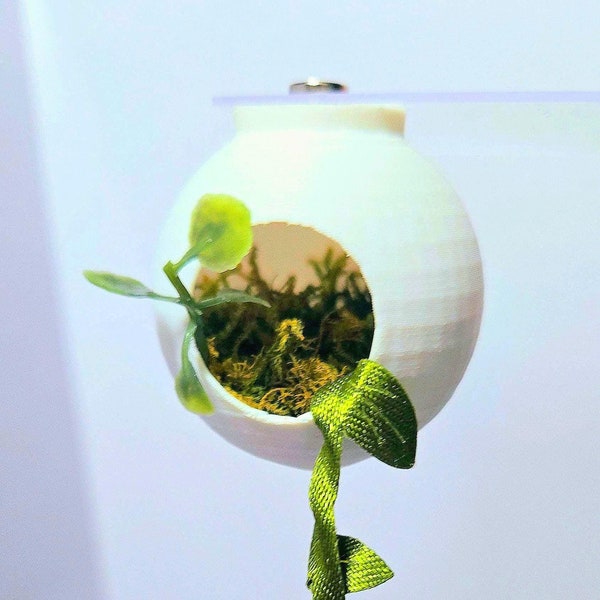 Spider Hide 3d Print - Etsy