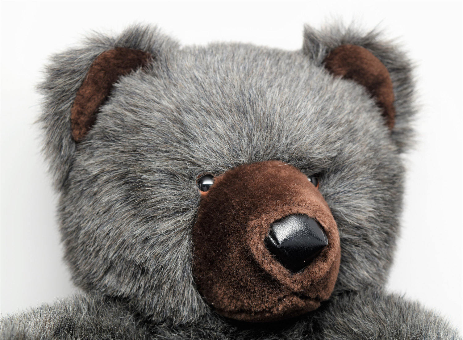 24K POLAR PUFF Jake Bear By Special Effects