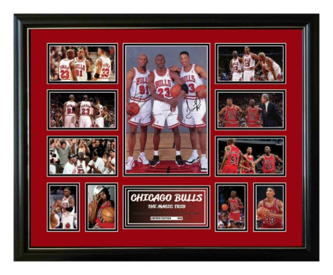 Michael Jordan Scottie Pippen Dennis Rodman Chicago Bulls Signed ...